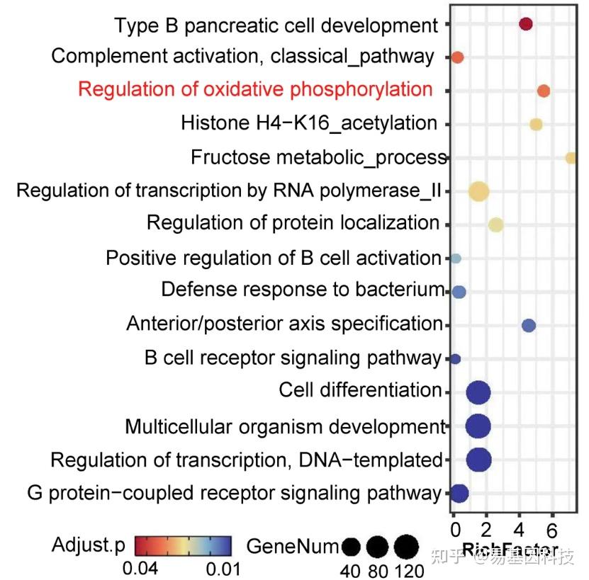 2024项目文章精选：DNA甲基化、RNA甲基化（m6A/m5C）、ChIP-seq、单细胞转录组、宏基因组｜易基因 - 深圳市易基因科技 - 博客园