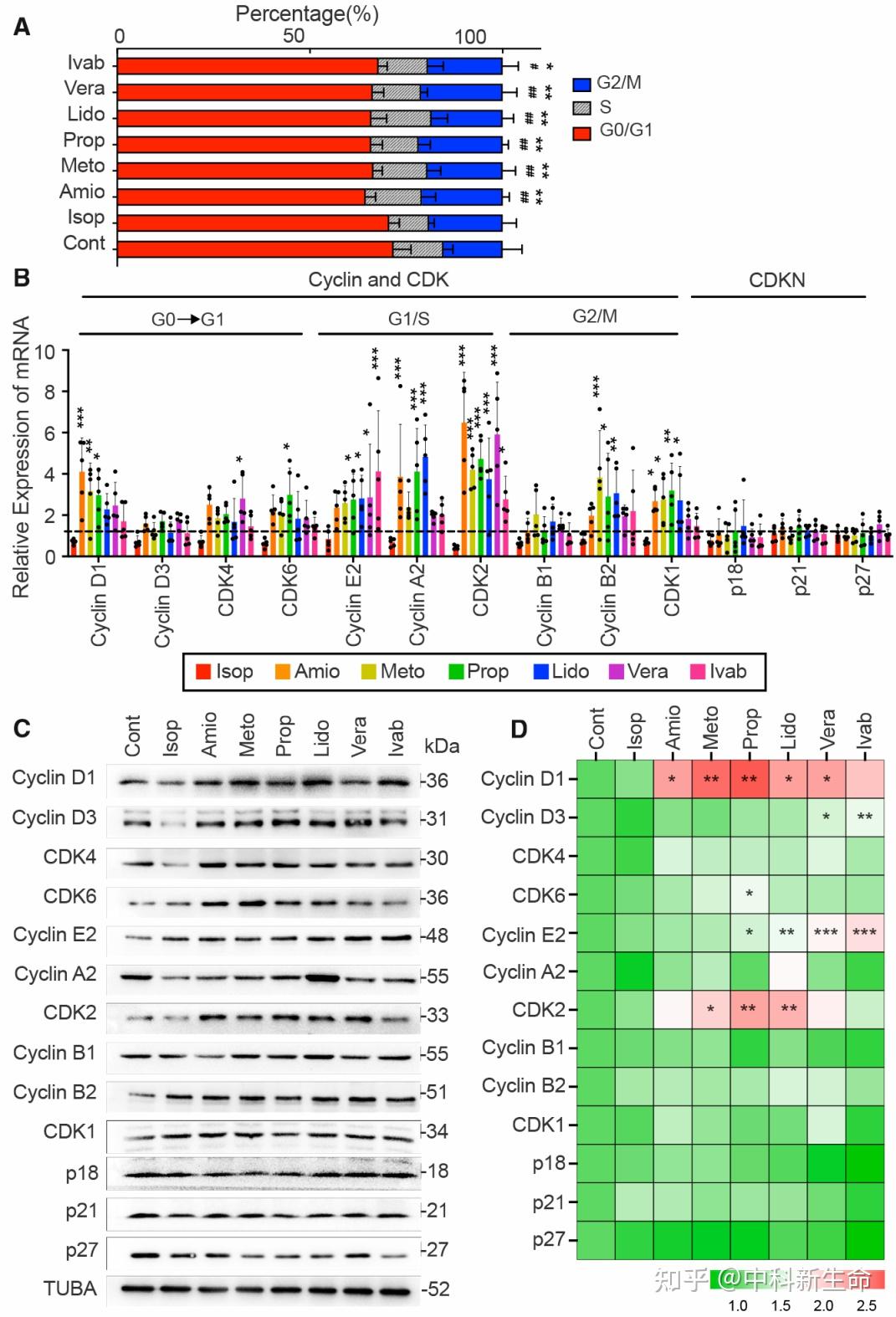 项目文章Cell Reports (IF 9.995) | 中山大学蔡卫斌教授团队揭示适度降低心率促进心肌再生机制 - 知乎
