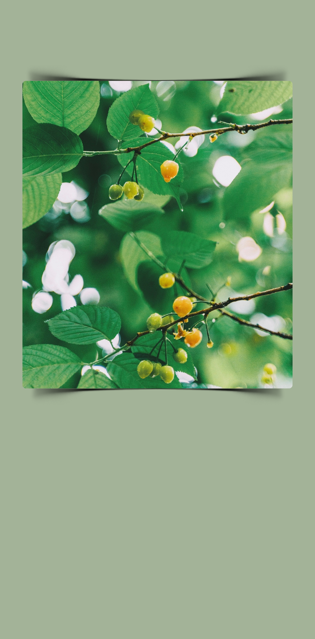 什么是氢壁纸，有什么用。？ - 知乎