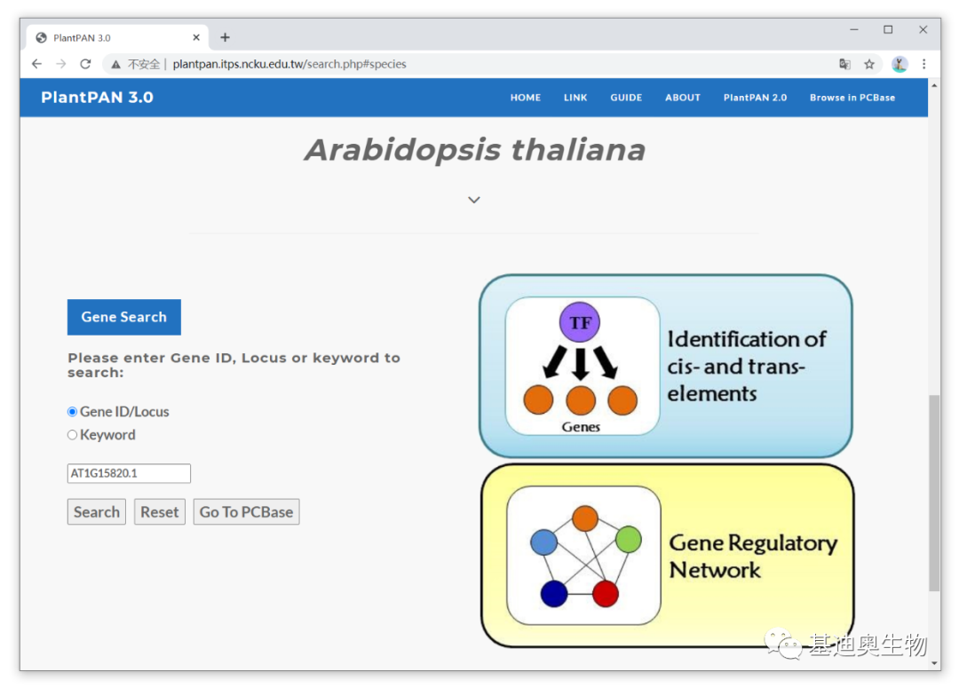 使用PlantPAN 3.0进行启动子和转录因子分析 - 知乎