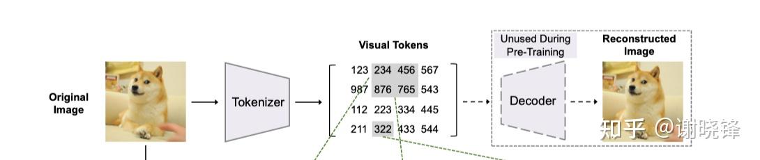 BEIT-V2: Masked Image Modeling with Vector-Quantized Visual Tokenizers - 知乎