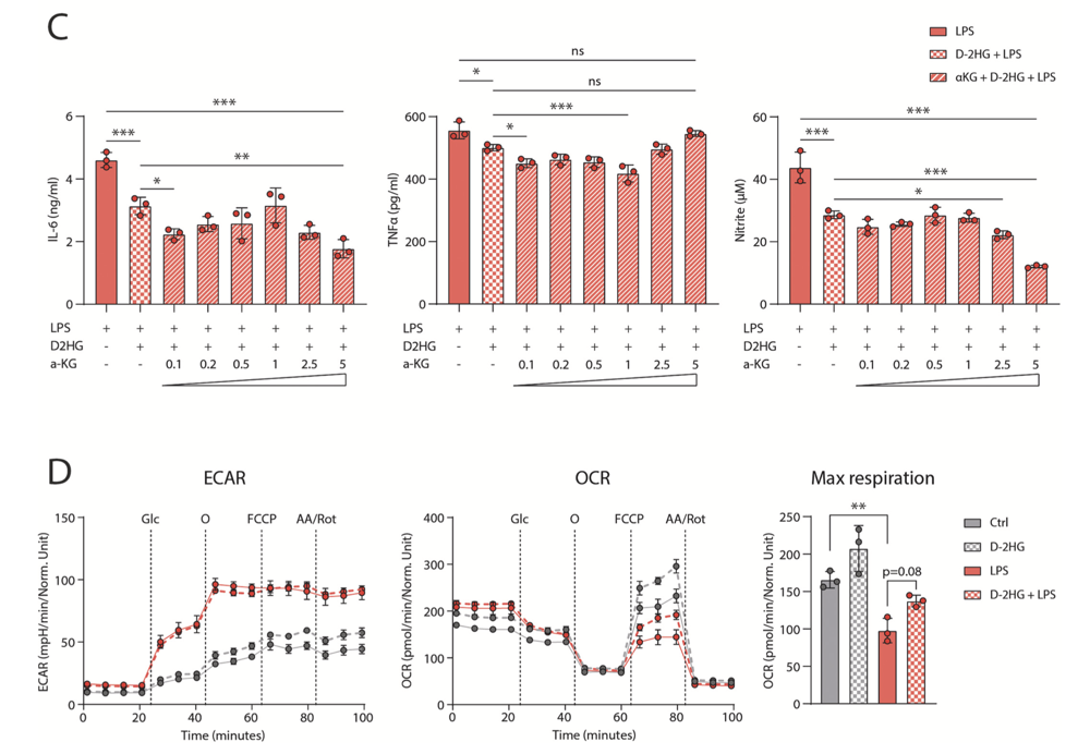 d-2-Hydroxyglutarate 是一种抗炎免疫代谢物，在 TLR4 激活后的巨噬细胞中积累 - 知乎