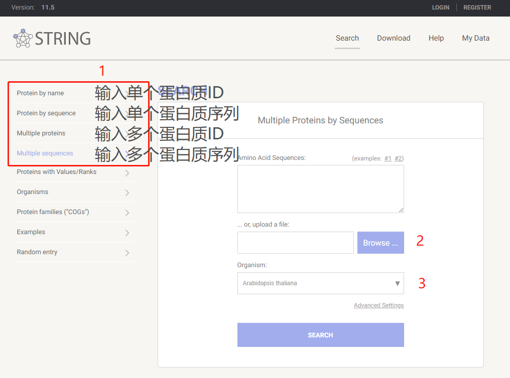STRING数据库|蛋白质互作网络分析 - 知乎