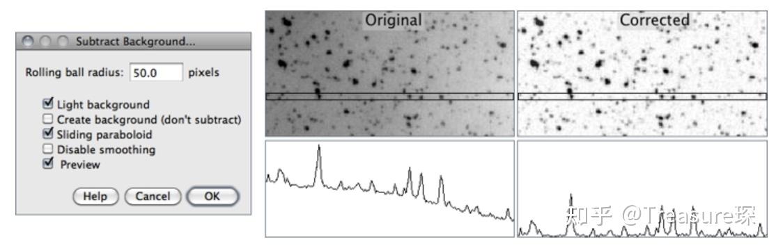 ImageJ实用技巧——Western Blot定量分析深入探究(定量分析篇) - 知乎