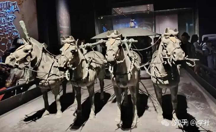 来，带你逛逛“离子通道博物馆” | 《神经科学原理》第十章：动作电位 - 知乎