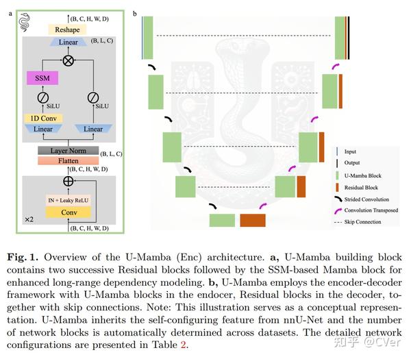 革新医学图像分割！刷新多个SOTA！U-Mamba：生物医学图像分割新网络 - 知乎