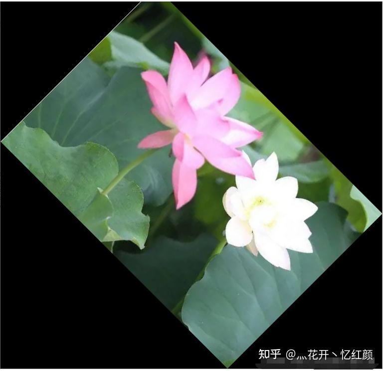 cv2的功能 - 知乎