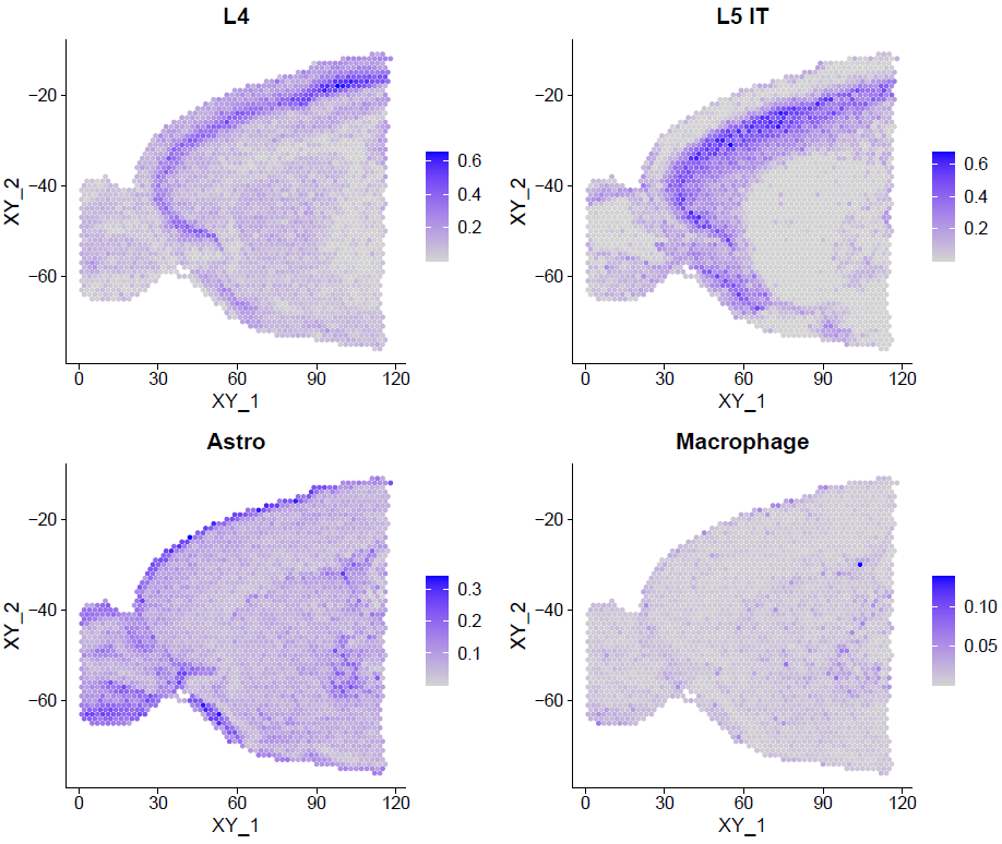 生信分析 | 空间转录组·SPOT去卷积—RCTD - 知乎