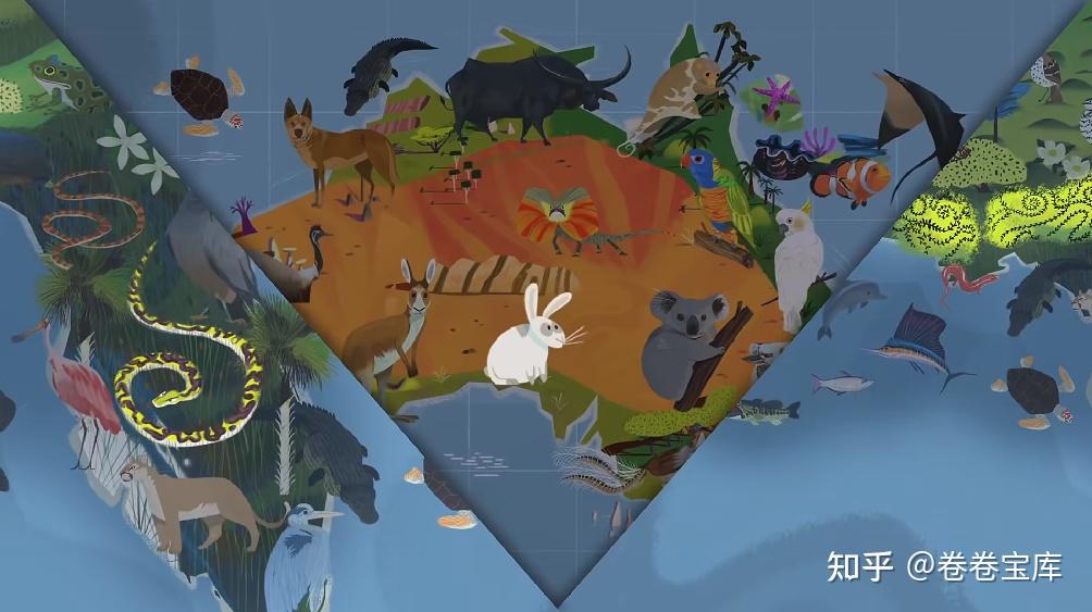 TED-ed《Awesome Nature 了不起的自然》科普动画128集，知识硬核一看入迷 - 知乎