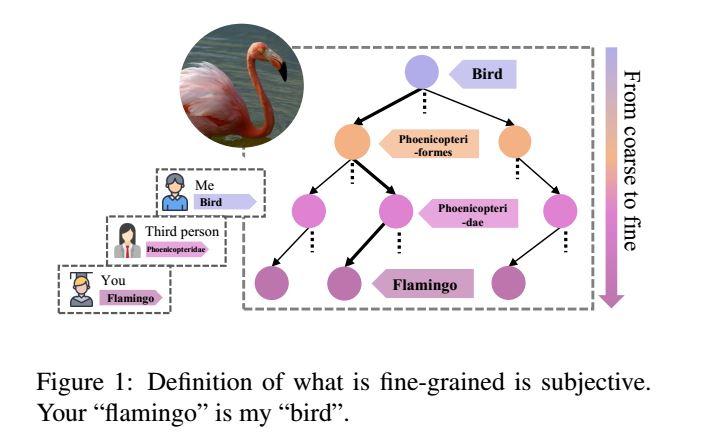 论文速读-Your Flamingo is My Bird, Fine-Grained, or Not - 知乎