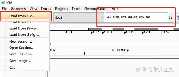 IGV和Adobe AI制作RIP-seq Peak图简易教程|m6A专题 - 知乎