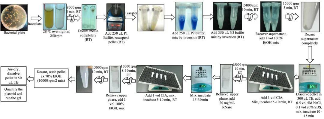 Bio-protocol | 2023年8月5日最新上线实验方案目录 - 知乎