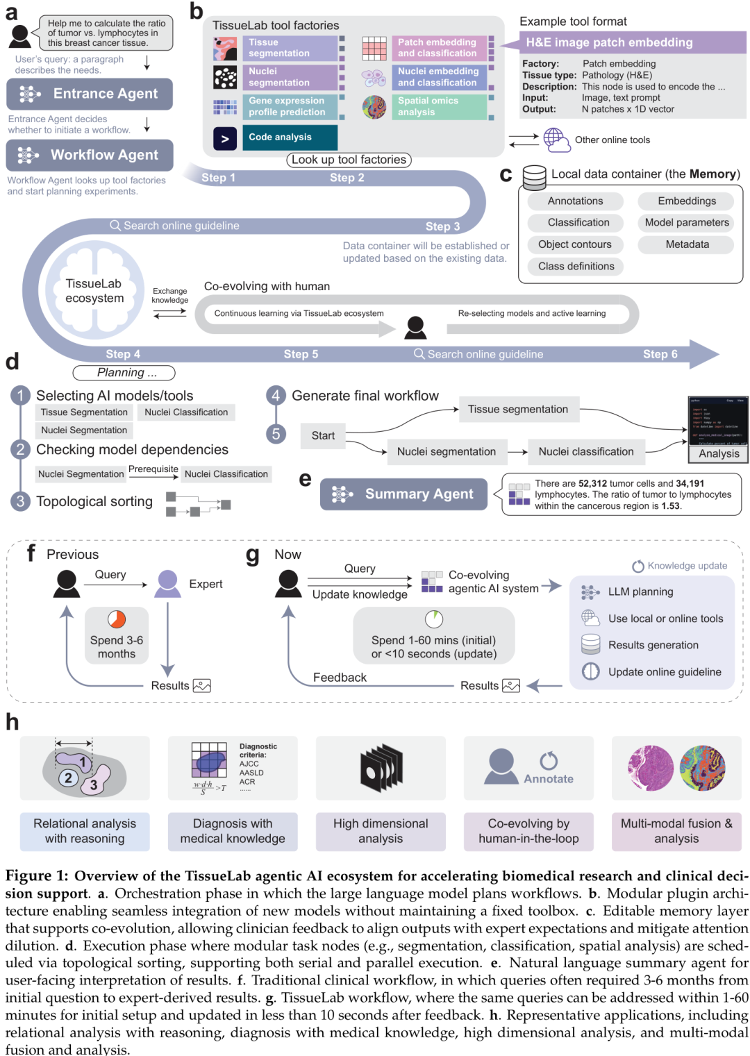 宾大发布TissueLab：AI智能体与医生“共进化”，数月任务分钟搞定，重塑医学影像分析 - 知乎