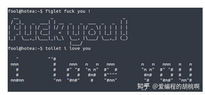 Linux 新手必会的21条命令合集 - 知乎