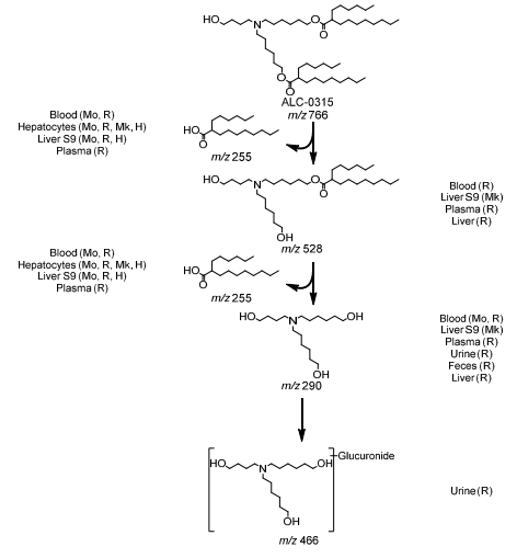 上市mRNA疫苗临床前药代动力学数据解读 - 知乎