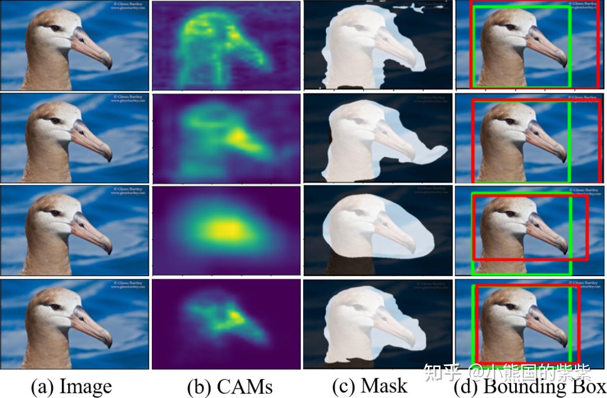 文献阅读：Shallow Feature Matters for Weakly Supervised Object Localization - 知乎