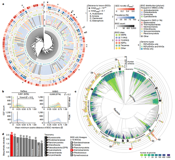 Nature |HiFi宏基因组助力挖掘海洋“新”微生物组 - 知乎