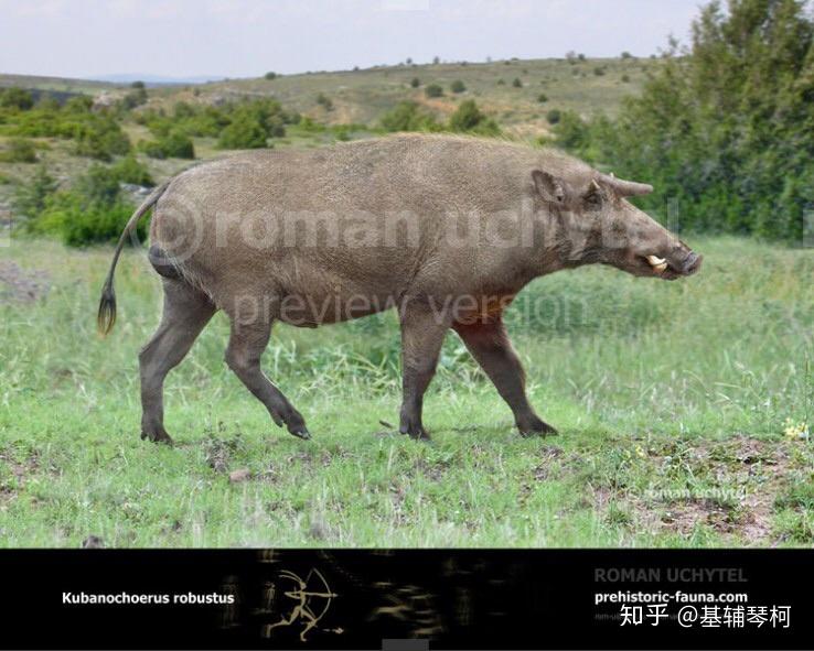 新生代巨兽猛兽与其他掠食者精简名录：古兽争锋榜（新近纪篇） - 知乎