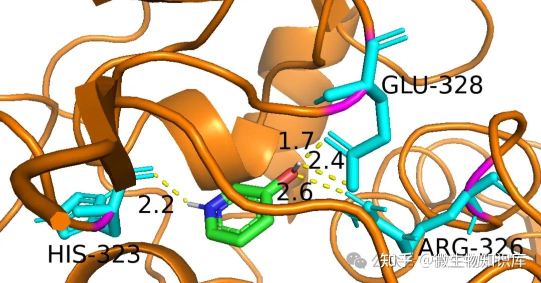 分子对接（六）：PyMol可视化分子对接结果详细教程 - 知乎