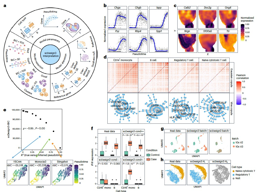 Nat. Biotechnol. | scDesign3一个生成多模式单细胞和空间组学的逼真的体外数据的工具 - 知乎