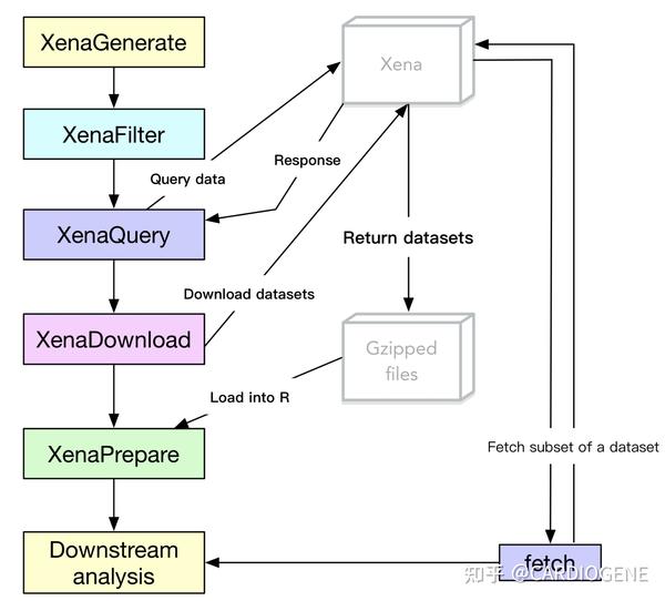 9.3.1.1.TCGA(THE CANCER GENOME ATLAS) - 知乎