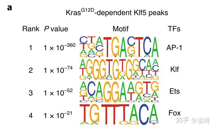 我要自学生信之生信基础：ChIP-seq流程及结果解读 - 知乎