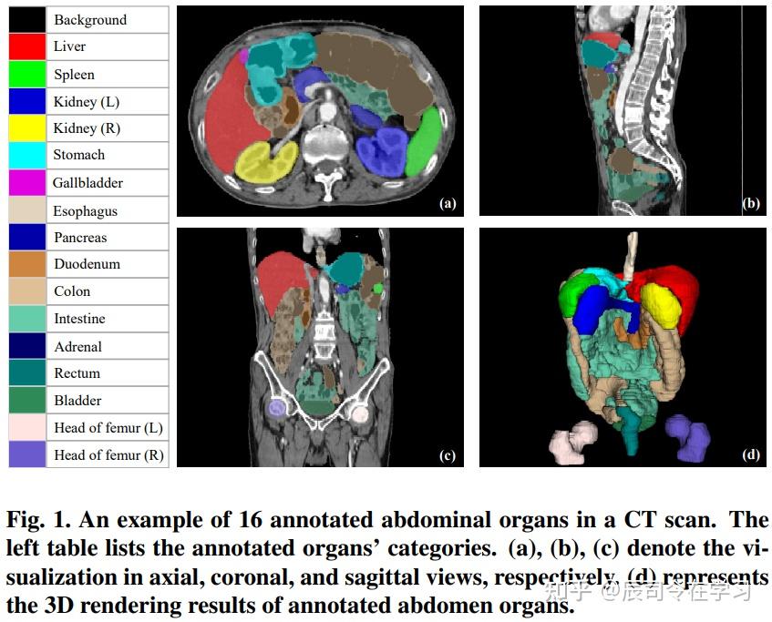 医学图像数据集 - 知乎