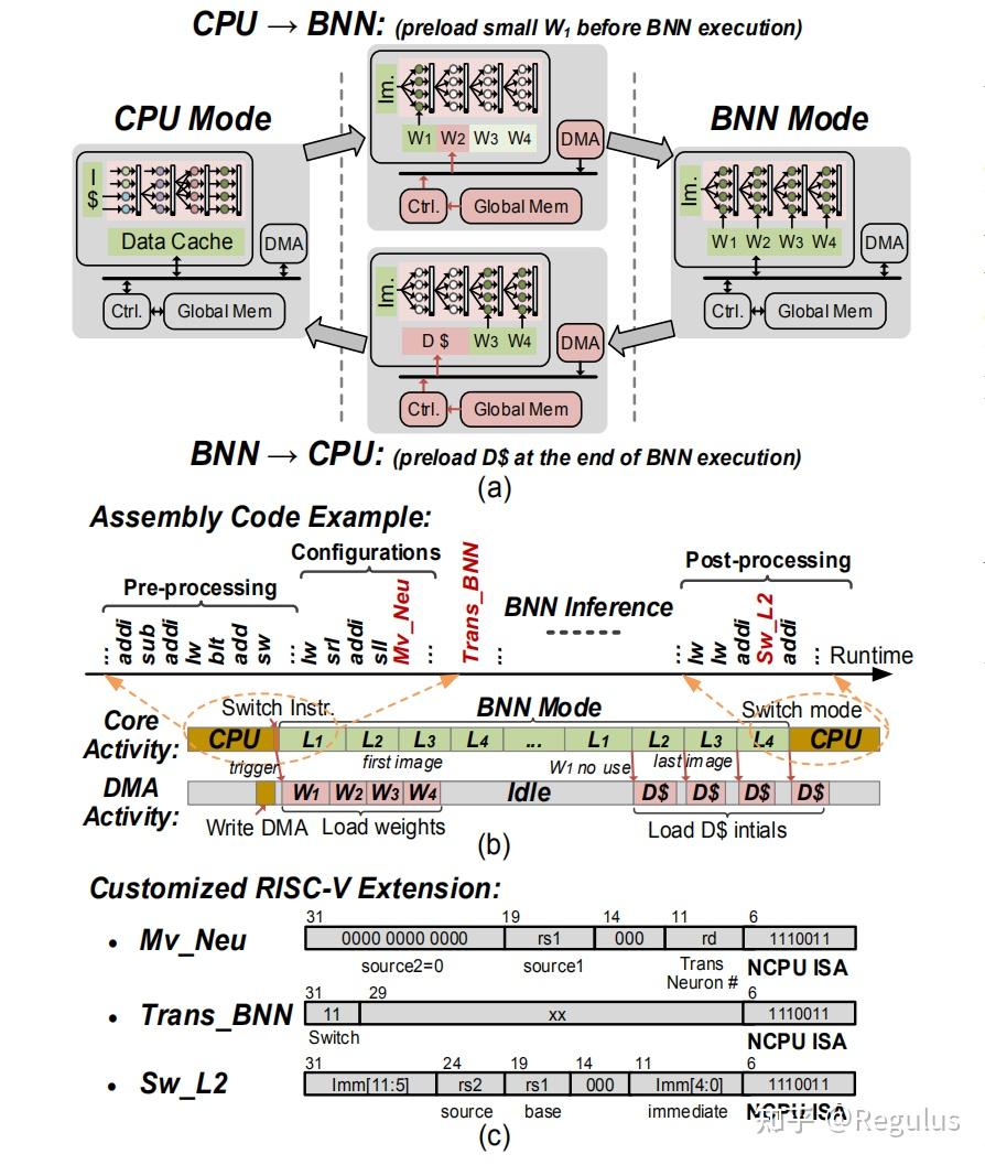 MICRO'20：NCPU，神经网络加速器与 CPU 的“缝合怪” - 知乎