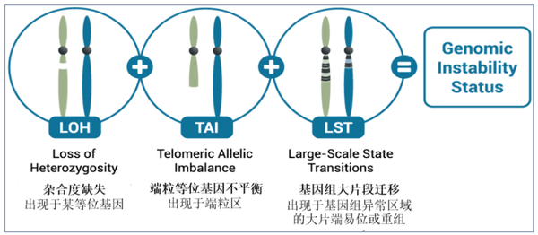 干货满满 | 傻傻分不清楚HRR、HRD、GS到底是什么关系？ - 知乎