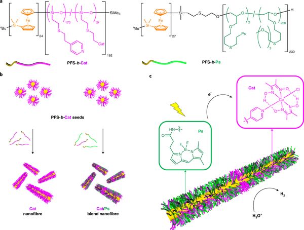 Ian manners院士再发《Nature》子刊：自组装纳米纤维，成就史上最高效率光催化产氢高分子体系！ - 知乎