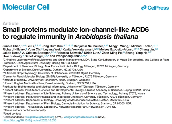 Molecular Cell | 中国农业大学朱旺升团队揭示植物新型钙离子通道ACD6调节免疫反应的机 - 知乎