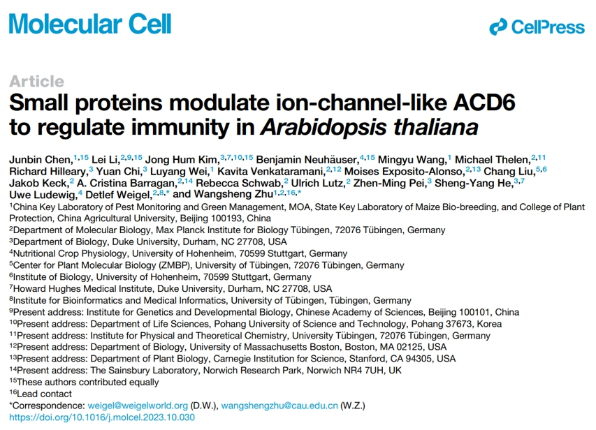Molecular Cell | 中国农业大学朱旺升团队揭示植物新型钙离子通道ACD6调节免疫反应的机 - 知乎