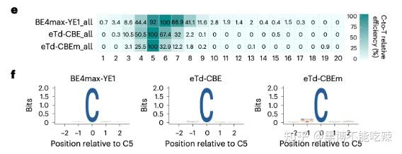 基于TadA-8e的CBE工具开发 - 知乎