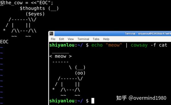 [oeasy]python0037_字符画艺术_asciiview_自制小动物_imagick_asciiart - 知乎