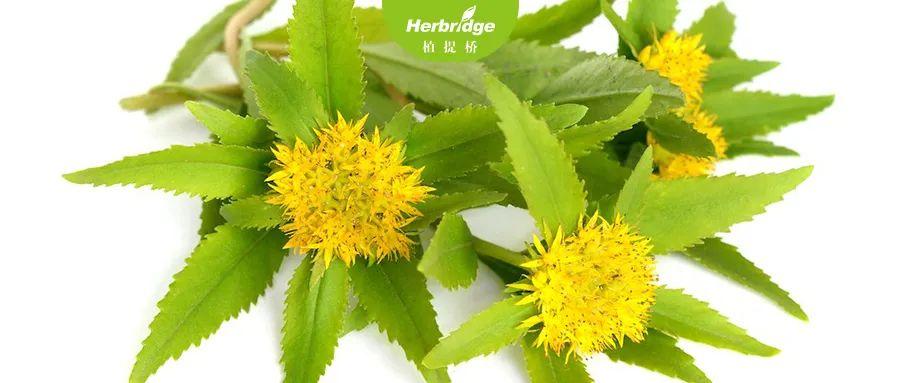 新原料 | Conagen推出99%高纯度红景天苷商业原料 - 知乎