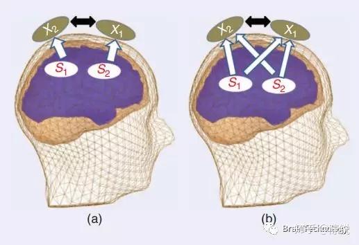 EEG源分析简介 - 知乎