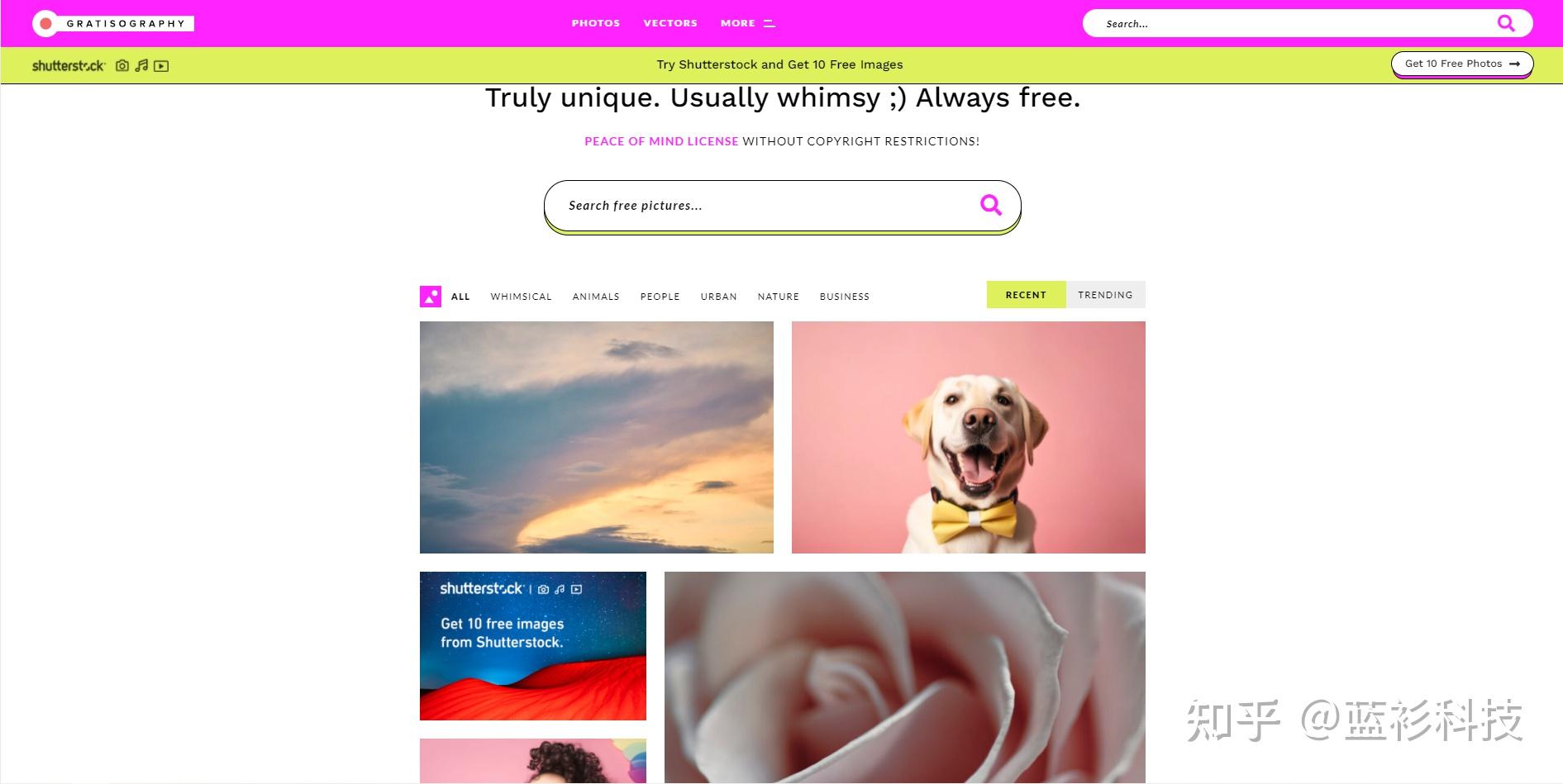 超全、超高清的图片素材集合 - 知乎