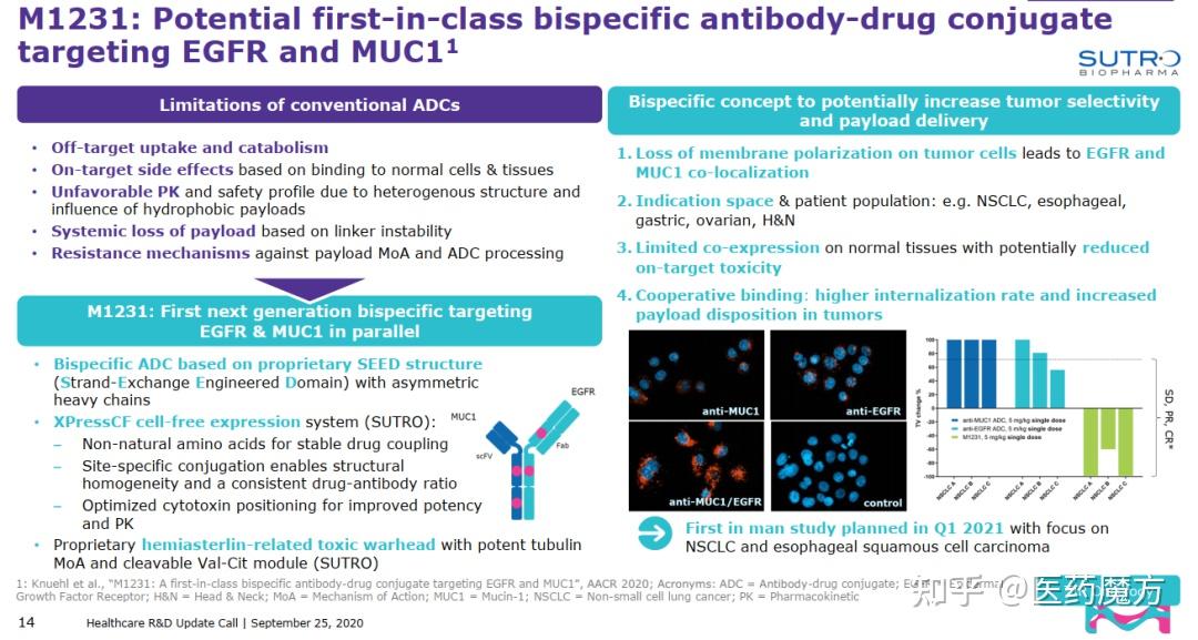 双抗ADC、突破性疗法：非天然氨基酸抗体偶联技术解析 - 知乎