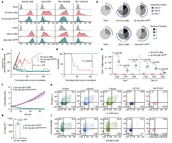 Nature | 让T细胞可控：斯坦福大学通过信号分子实现CAR T细胞的逻辑门控制 - 知乎