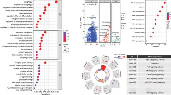 研究还没思路？带你快速了解非肿瘤疾病国自然热点—自噬 - 知乎