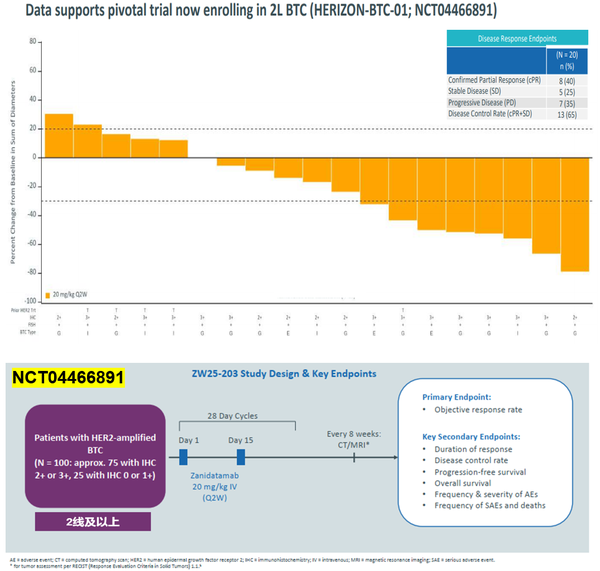 崭露头角的HER2后浪 —ZW25临床研究进展 - 知乎