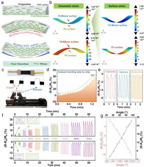 《Adv. Mat.》: 基于PU-TA@MXene Janus结构的柔性传感器 - 知乎