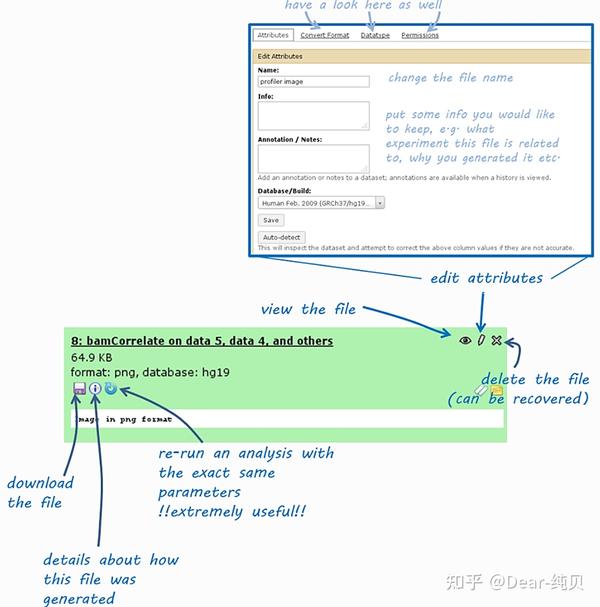 生信小白学生信——ChIP-seq和CUT&Tag数据分析 - 知乎