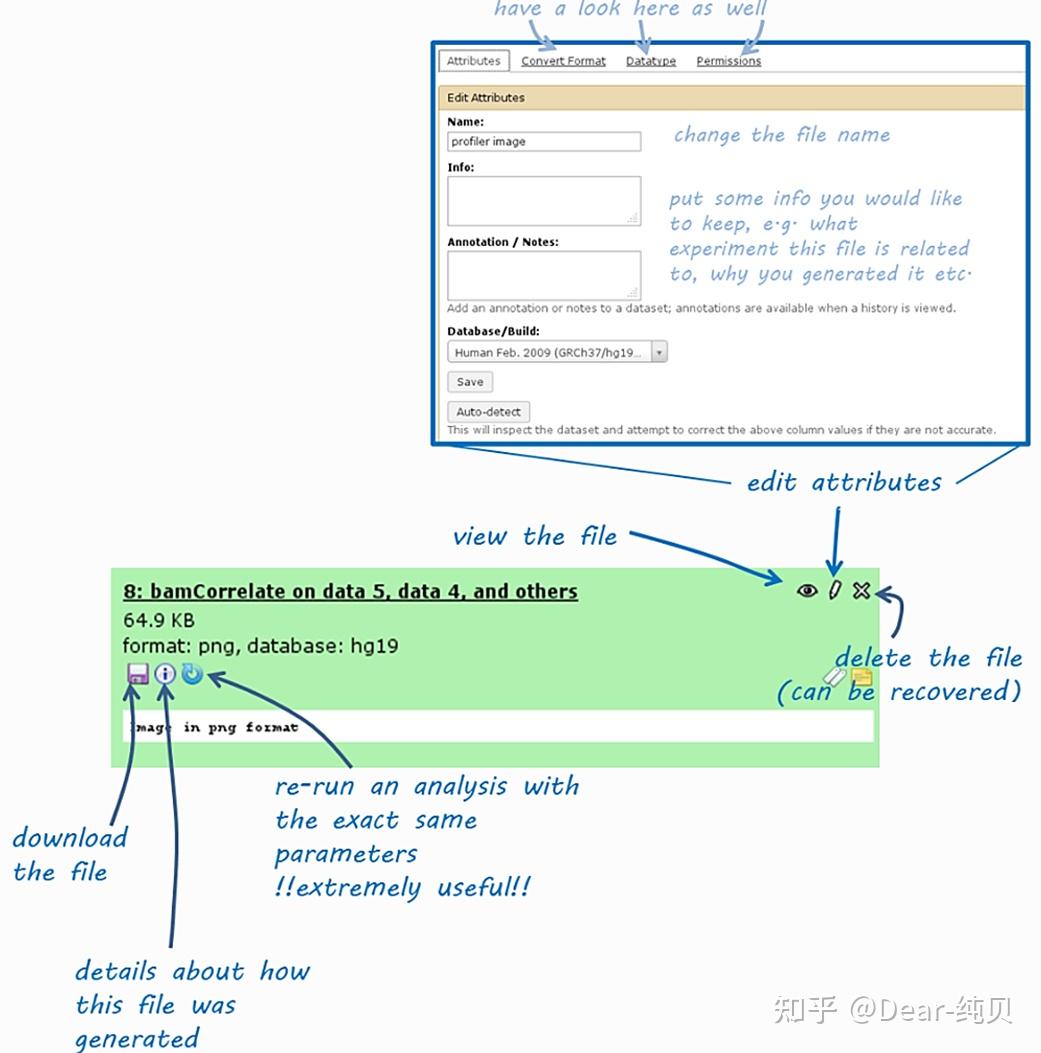 生信小白学生信——ChIP-seq和CUT&Tag数据分析 - 知乎
