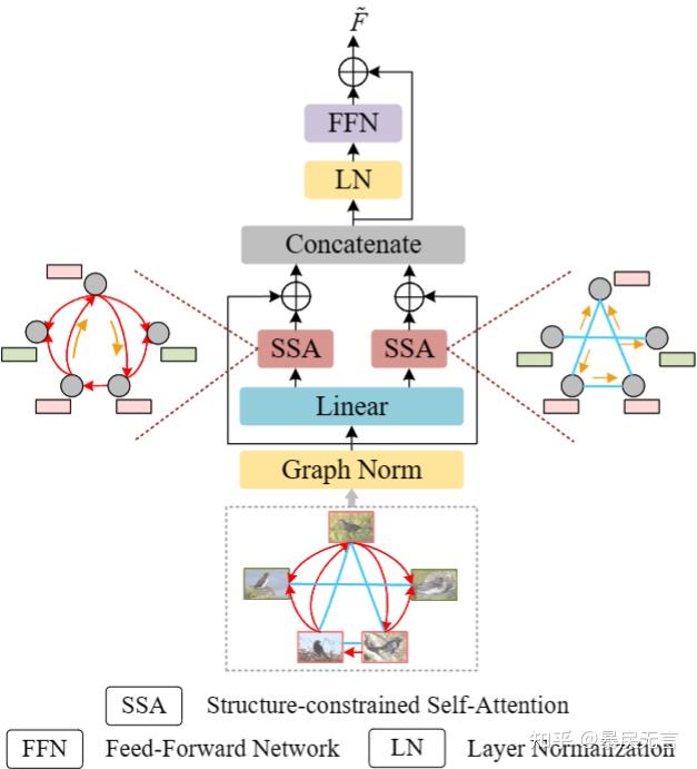 TMM | Rethinking Batch Sample Relationships for Data Representation - 知乎