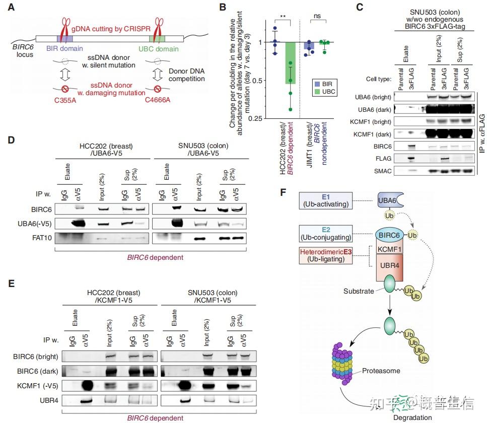 我们能从最新高分文章中获取什么研究思路？ - 知乎