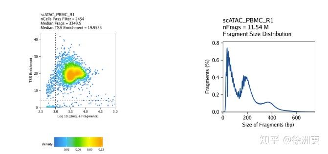 使用ArchR分析单细胞ATAC-seq数据(第一章) - 知乎