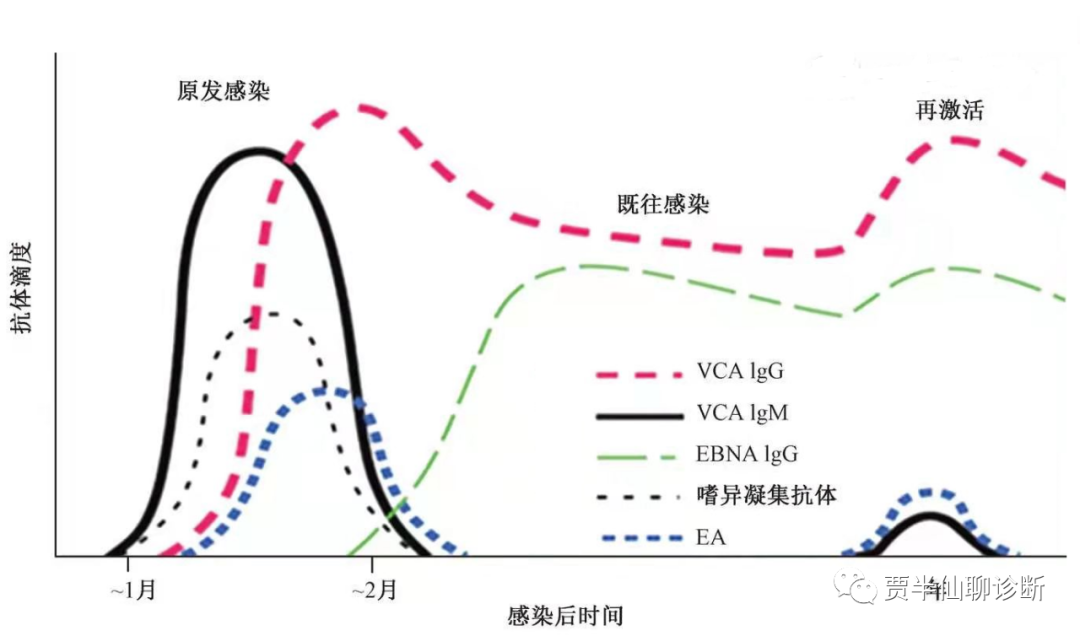 EBV DNA检测市场分析（一） - 知乎
