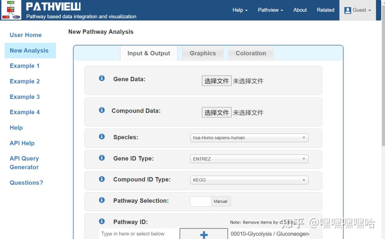 RNA-seq入门实战（六）：GO、KEGG富集分析与enrichplot超全可视化攻略 - 知乎