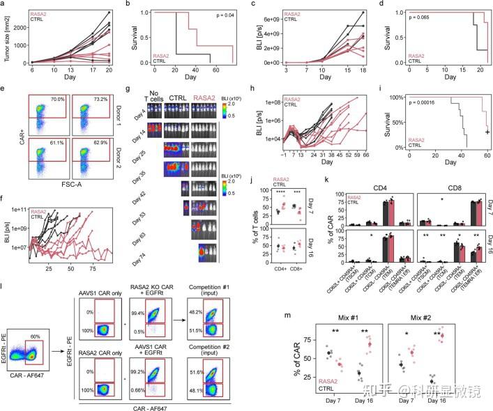 nature前沿为2023年国自然提供研究思路：CAR - T细胞治疗新靶点RASA2带来了可持久击杀肿瘤的T细胞 - 知乎